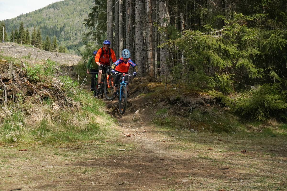 Guided MTB tours, Voss Forest, Outdoor Norway | Family Activities ...