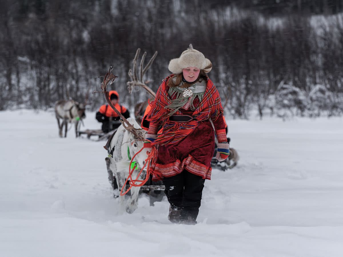 Reindeer Sledding & Tromsø Ice Domes Snow Park Visit - Excluding ...
