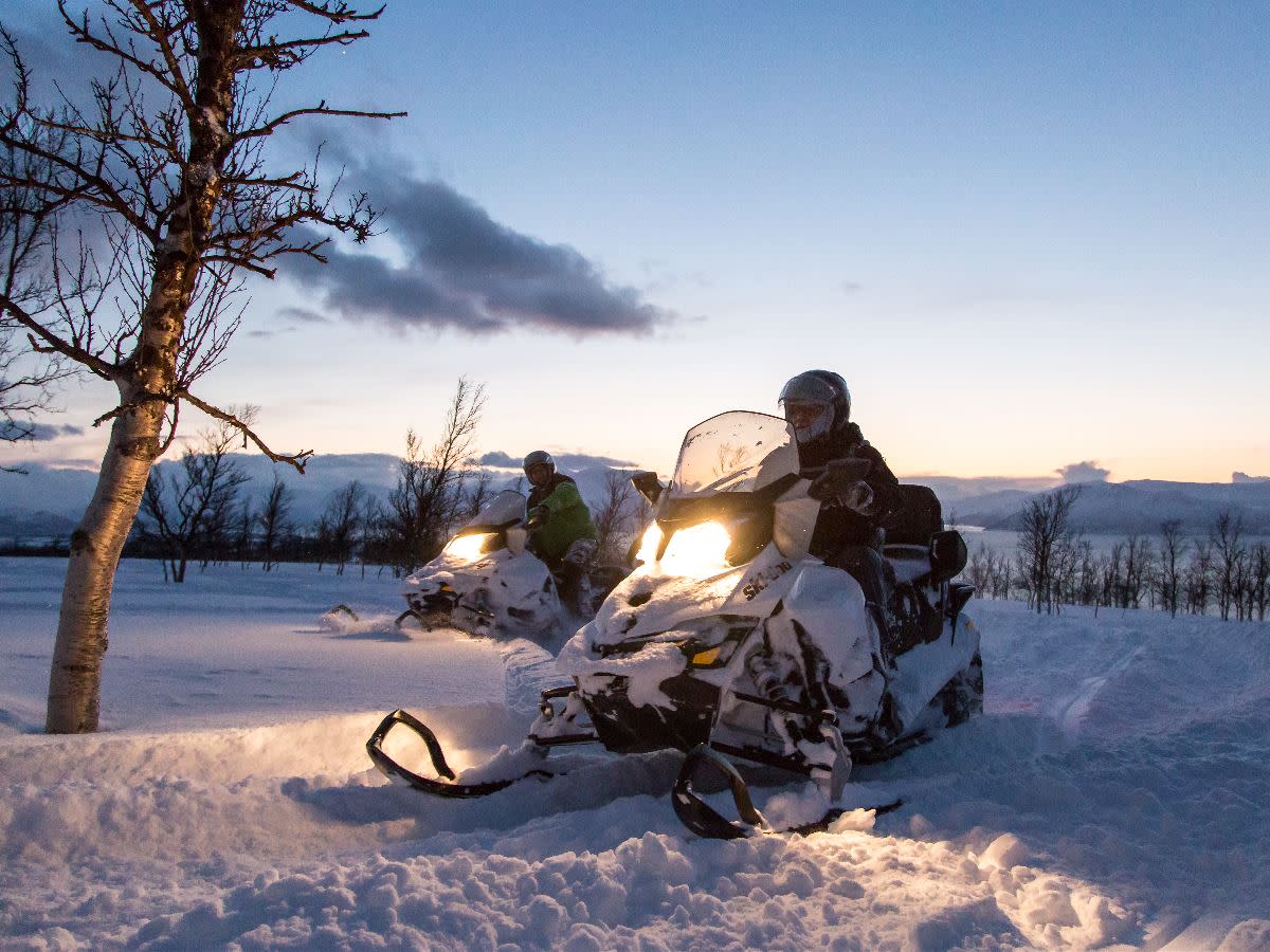 Northern Light snowmobile safari in the amazing LyngenAlps with XLyngen ...