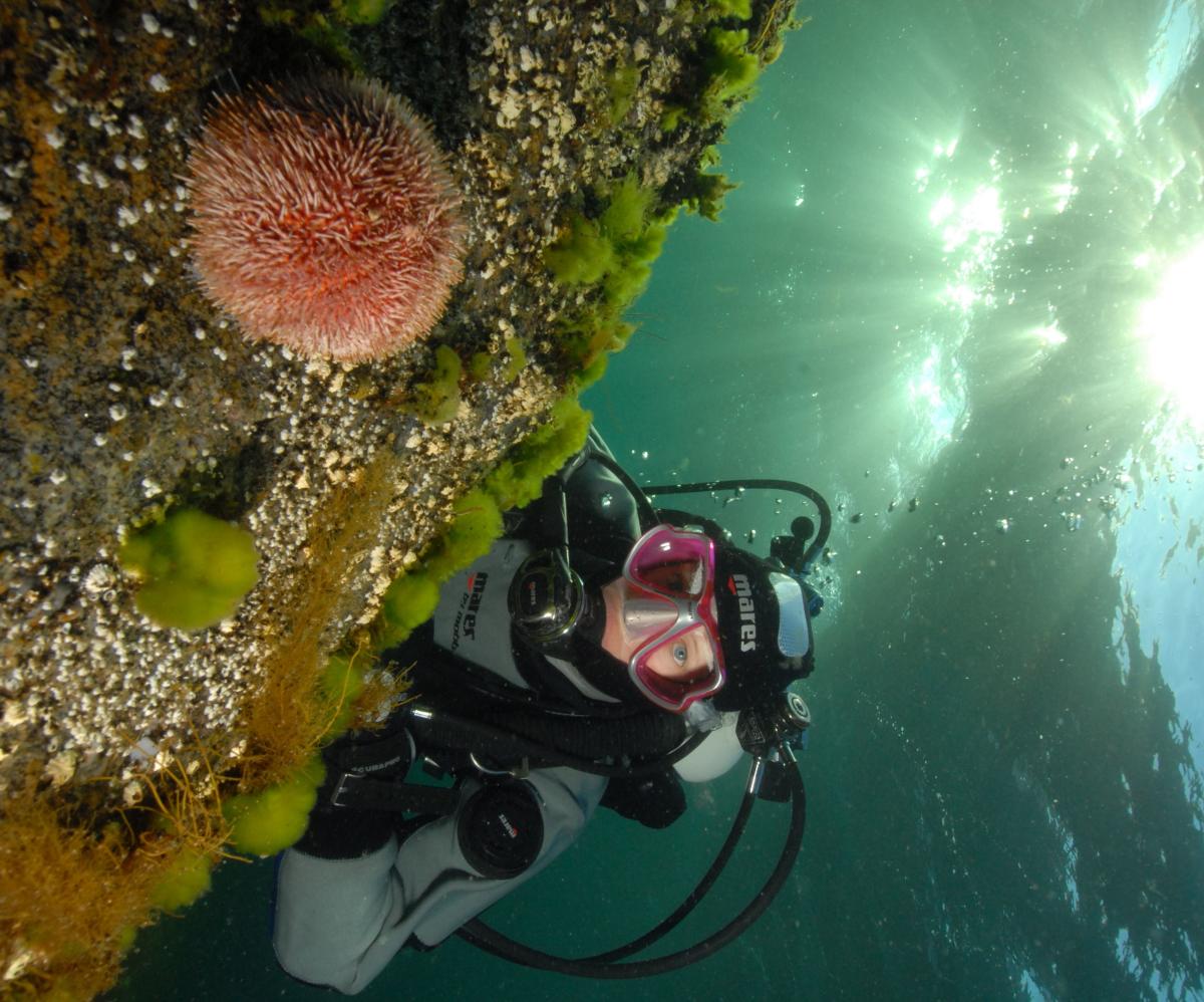 First Time Diver with PADI 5 Star Dive Resort | Diving | Ballstad | Norway