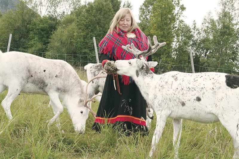 Samisk kultur - Inga Sami Siida | Museums & Galleries | Sortland | Norway