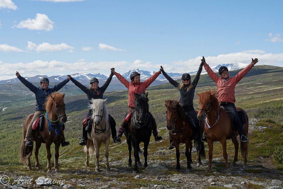 Horseback riding at the Dovrefjell plateau | Wildlife & Safaris ...