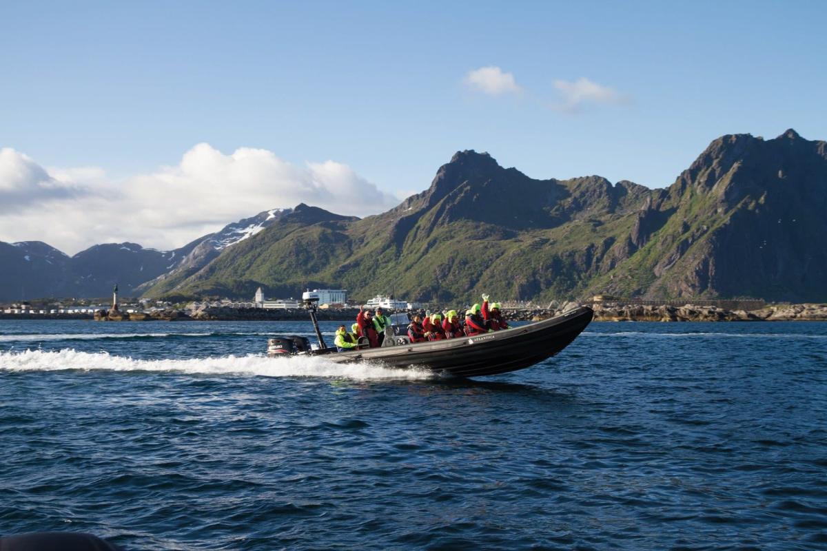 RIB havørn safari til Trollfjord med RIB-Lofoten - SOMMER