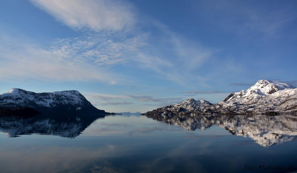 RIB Sea Eagle Safari to Trollfjord with RIB Lofoten - WINTER | Wildlife ...