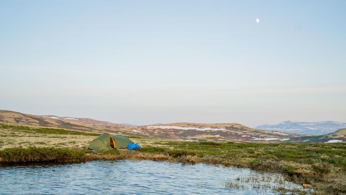 Dovre National Park | Nature Attractions | Dovre | Norway