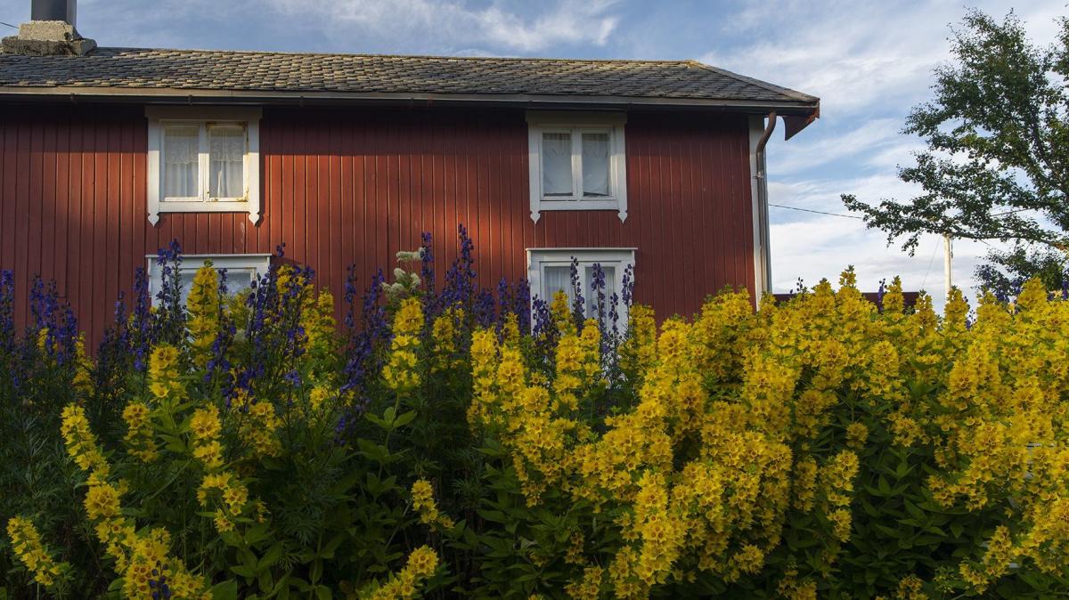 Træna museum | Nature Attractions | Hemnesberget | Norway