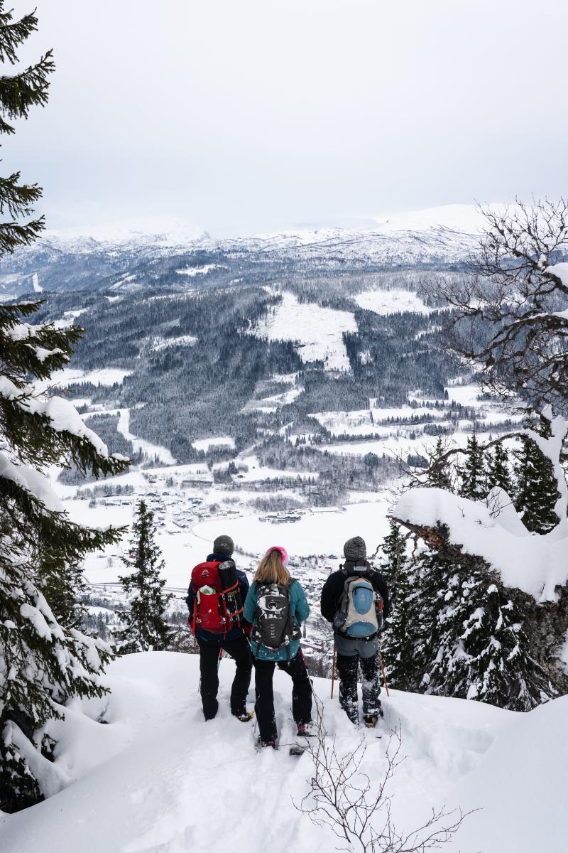 Trugetur på Hanguren med Wild Voss | Winter Without Skis | Voss | Norway