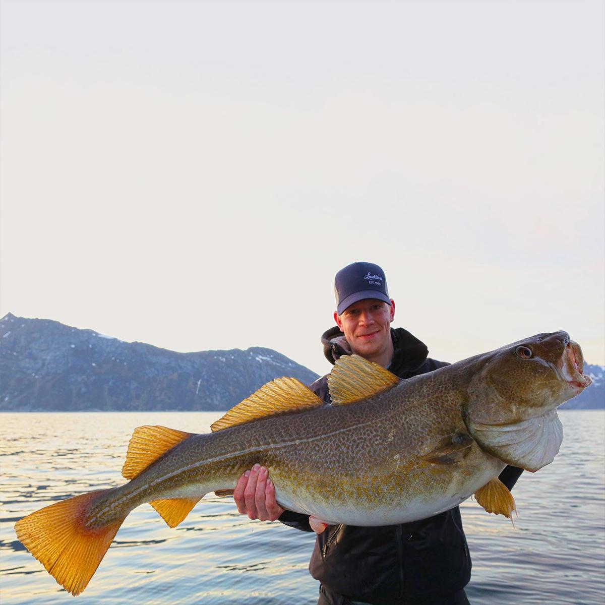 Guidet privat fisketur | Fishing | Kvaløya | Norway