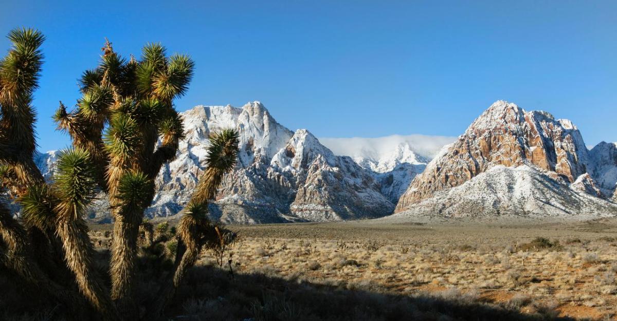 Red Rock Canyon National Conservation Area | Las Vegas, NV