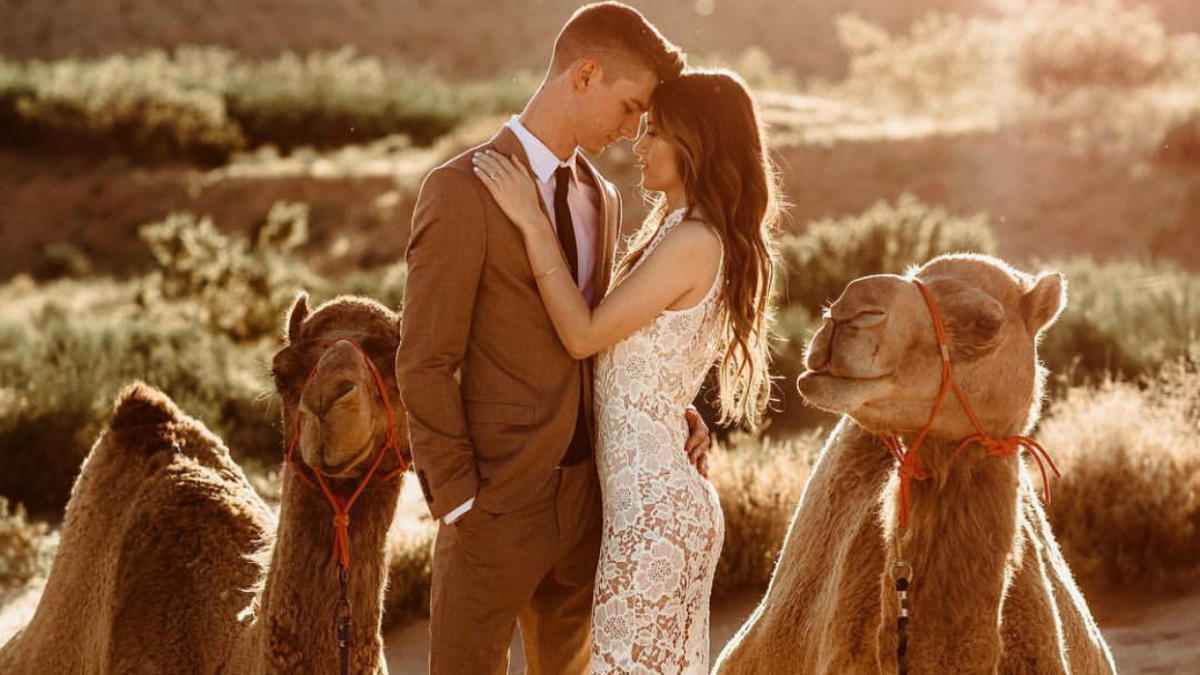 Weddings at the Camel Safari | Mesquite, NV