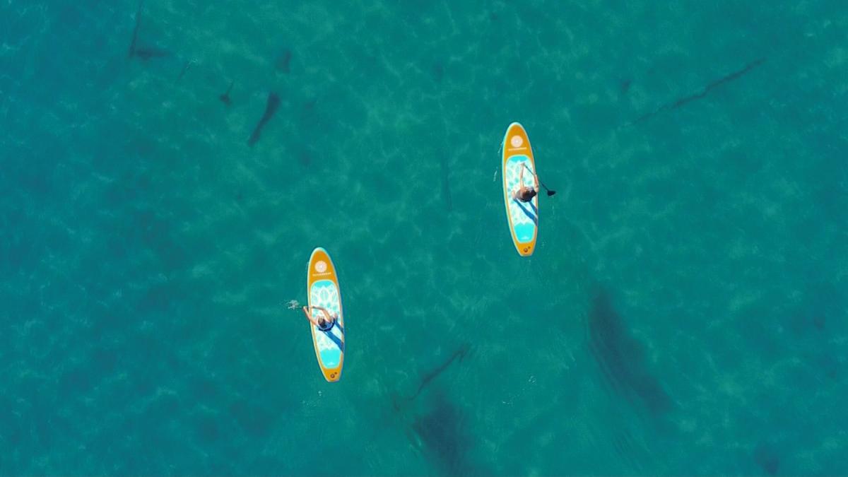 Las Vegas Paddle Board