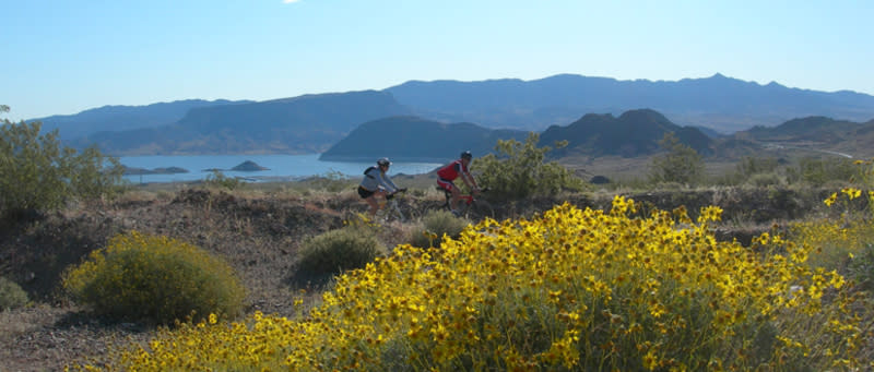 River Mountains Loop Trail | Boulder City, NV