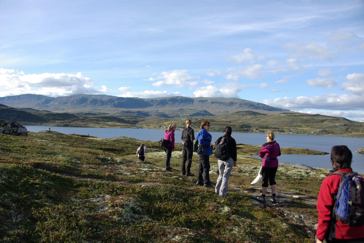 Rings um den Bergsjøen Ål in Hallingdal | Hiking | Ål | Norway