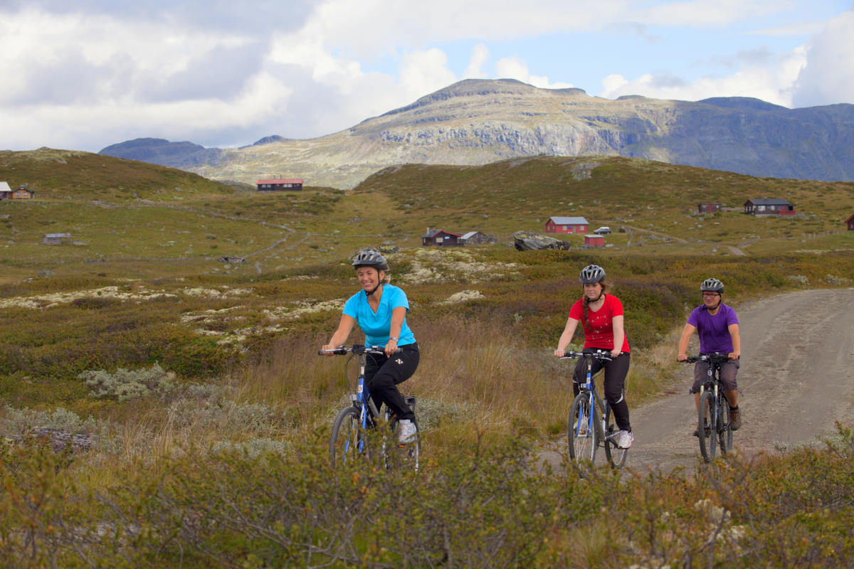 Sykkeltur Bergsjøområdet | Biking | Ål | Norway