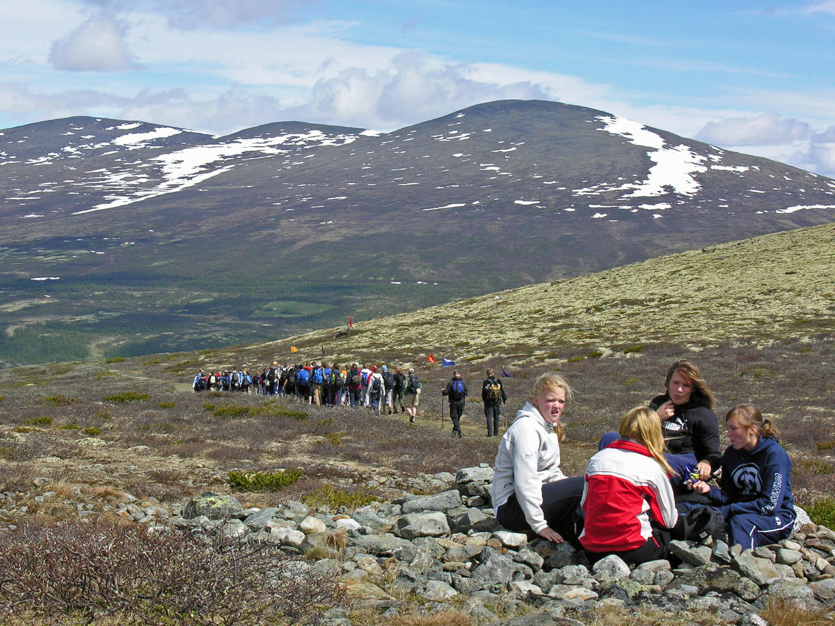 Trip in St. Olav's Kingdom | Guided Tours | Hjerkinn | Norway