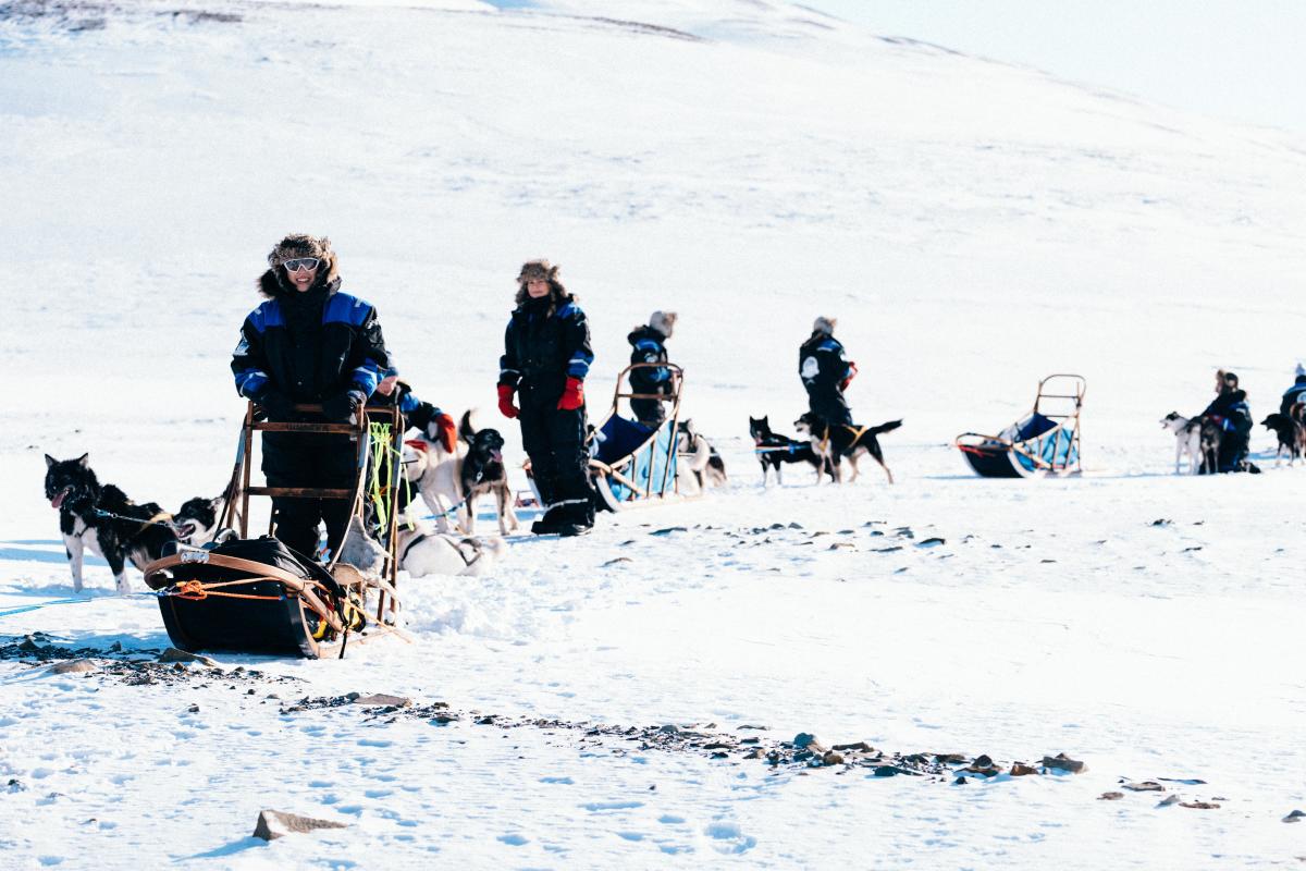 Arctic Dog Sledding - Svalbard Husky | Riding & Sledging | Longyearbyen ...