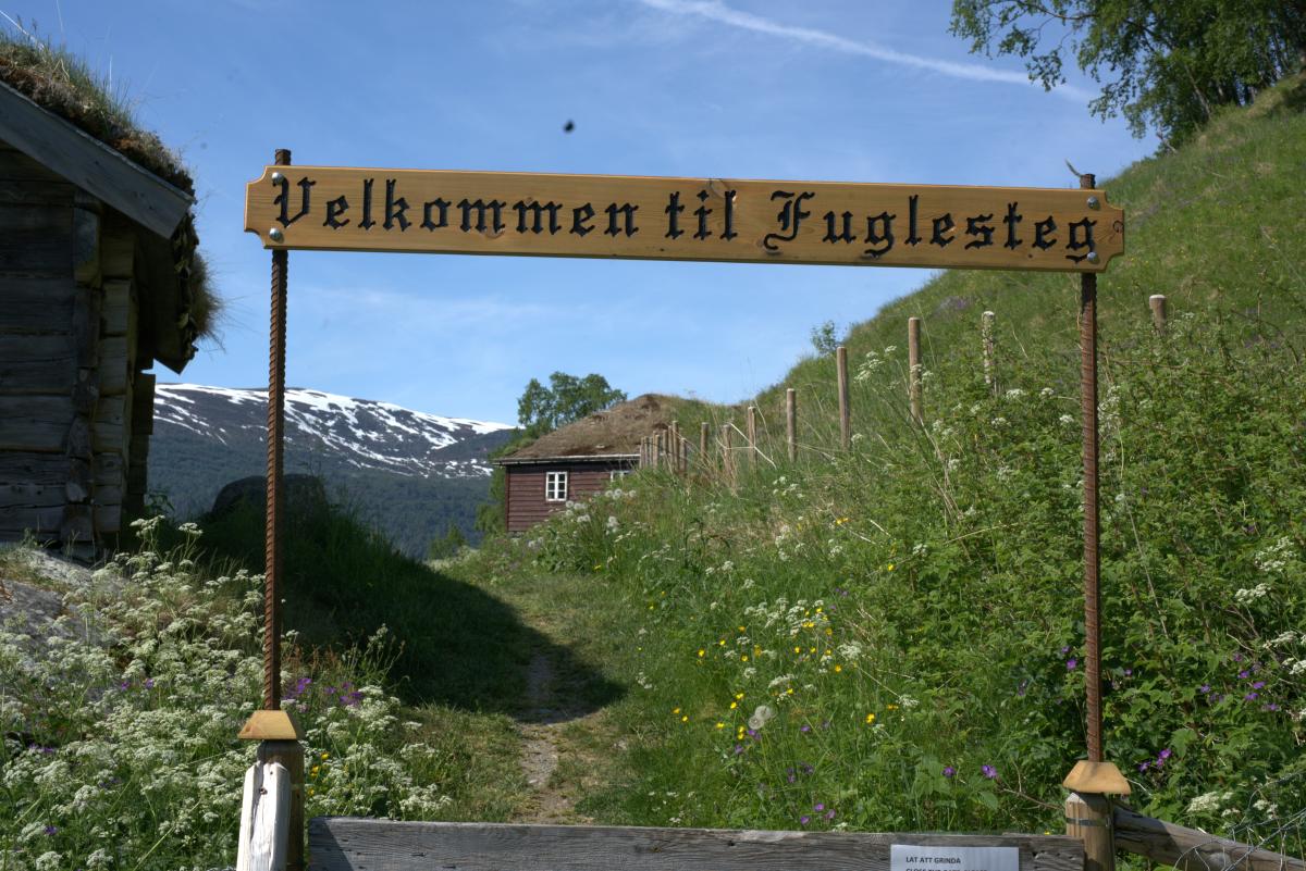 Hike to Fuglesteg | Hiking | Fortun | Norway