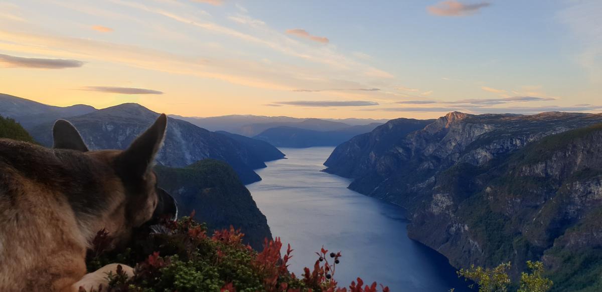 Hike to Hovdungo, Undredal | Hiking | Undredal | Norway