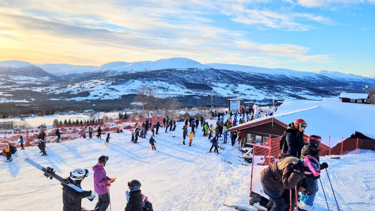 Skibuss Oppdal | Other sports | Oppdal | Norway