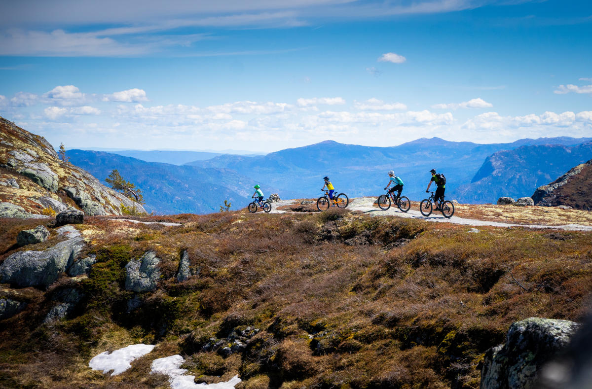 MTB bike rental in Nesbyen | Biking | Nesbyen | Norway