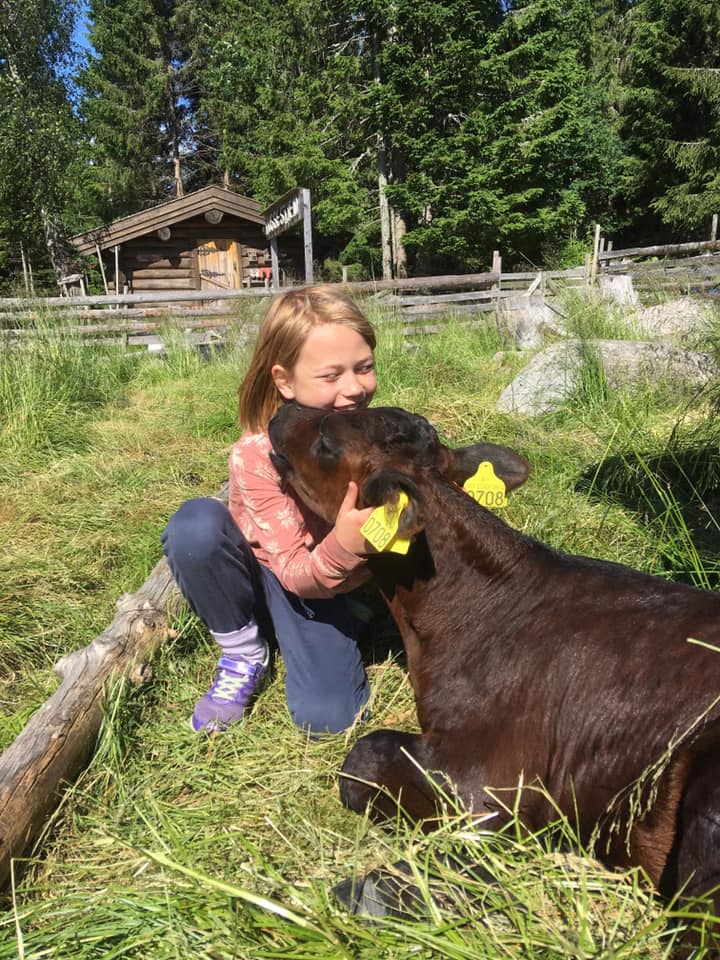 Nordgardsetra 4H seter | Farm Activities | Steinsholt | Norway