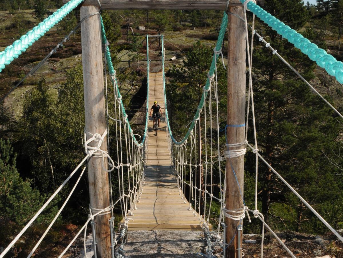 Terrengsykling på fjellet | Biking | Treungen | Norway