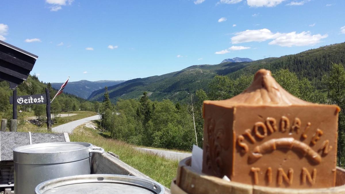 Bergstaulen Seter | Farm Activities | Rjukan | Norway