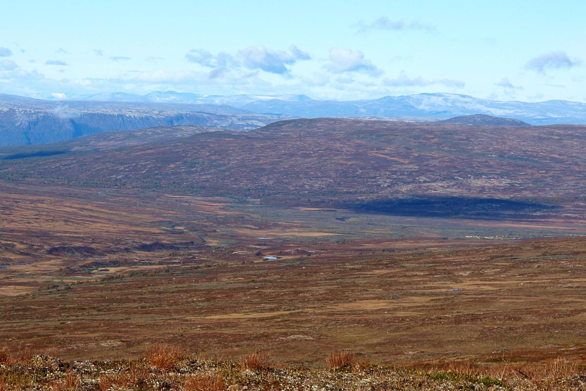 Grønntjønnan naturreservat | Nature Attractions | Tynset | Norway