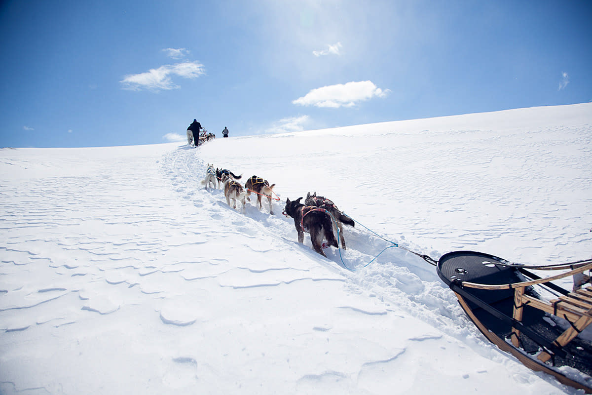 Beito Husky Tours - Dog sledding in the spring on Valdresflya