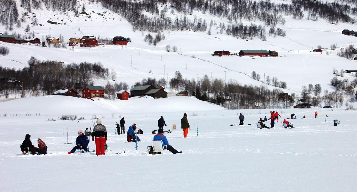Isfiske - pilking | Fishing | Ål | Norway