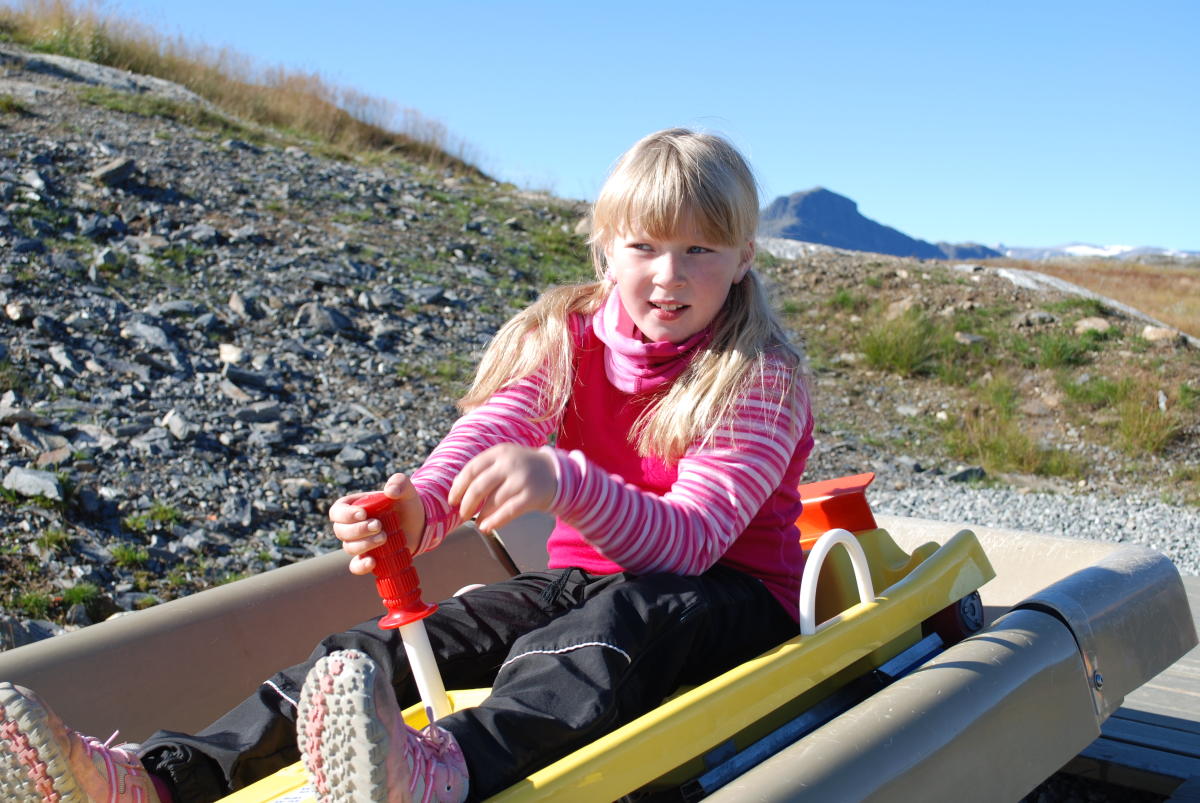 Beitostølen Summer Alpine Sledge | Theme Parks | Beitostølen | Norway