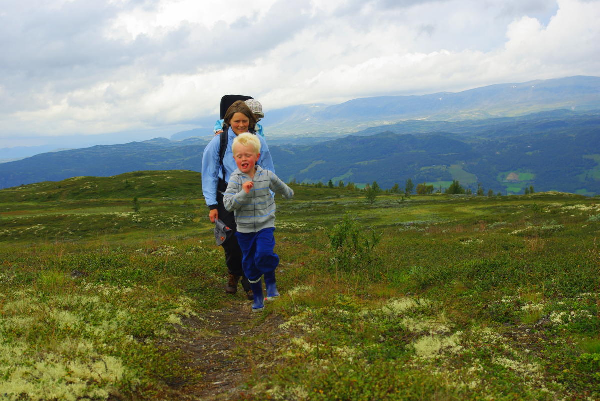 Skurvehovda Ål in Hallingdal | Hiking | Ål | Norway