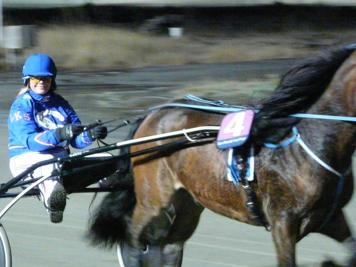 Trotting Races | Riding & Sledging | Harstad | Norway