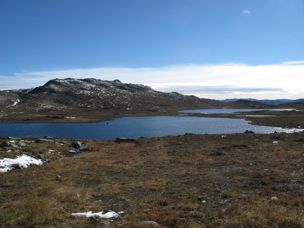 Hiking in the Setesdalsheiane | Hiking | Valle | Norway