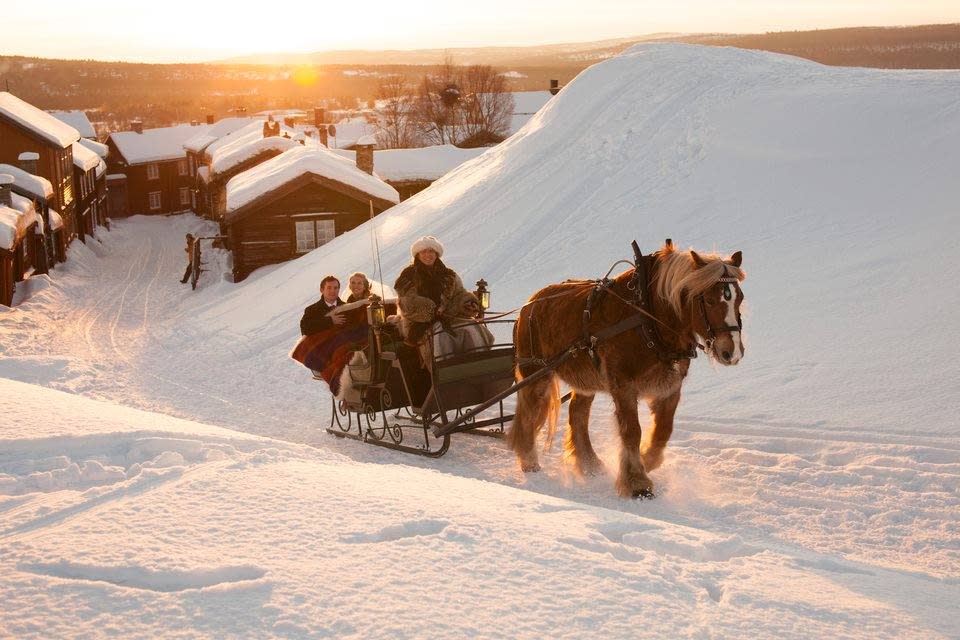 Horse and sleigh ride in Røros | Riding & Sledging | Røros | Norway