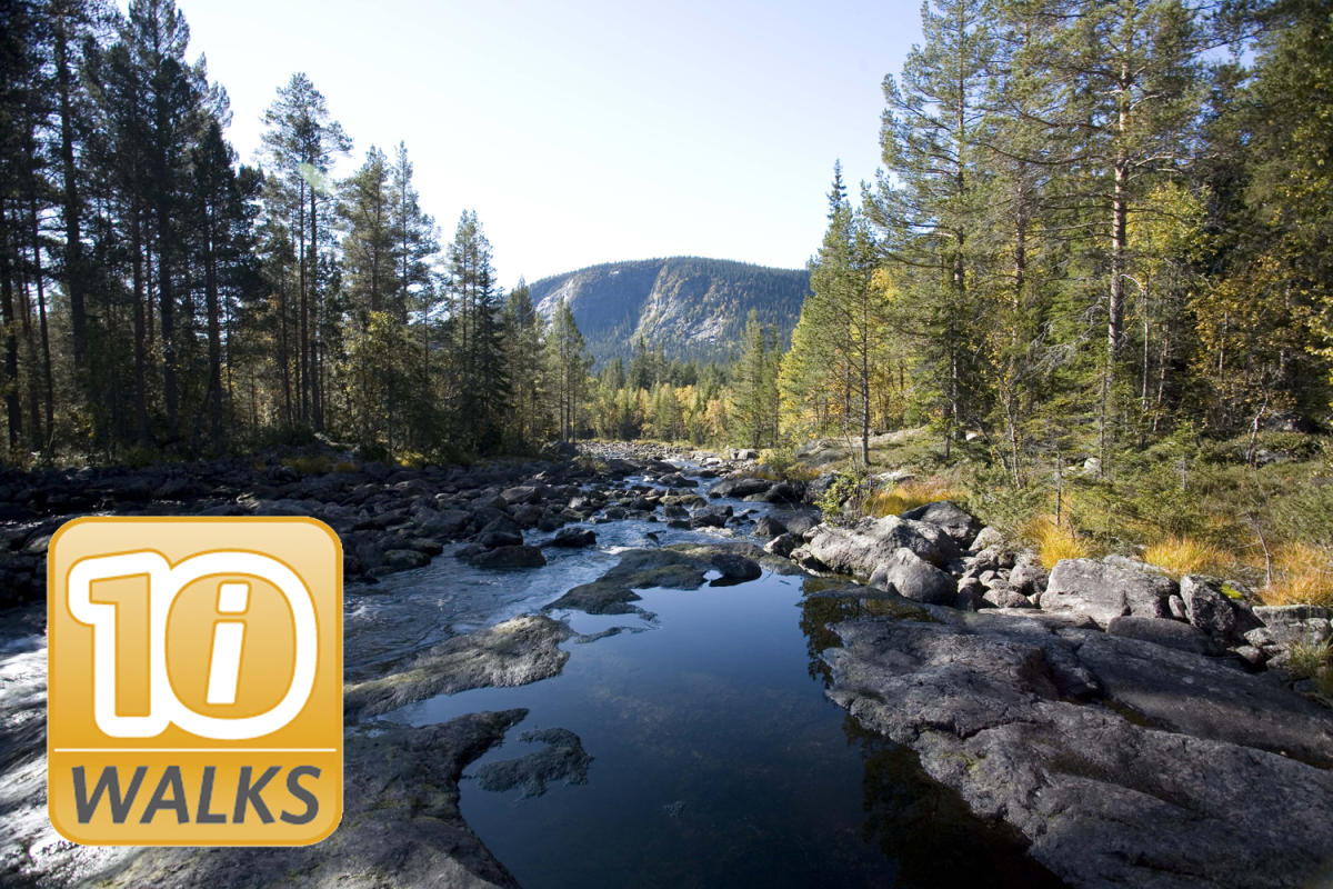 Vassfaret, Flå - 10 Iconic Walks | Hiking | Flå | Norway