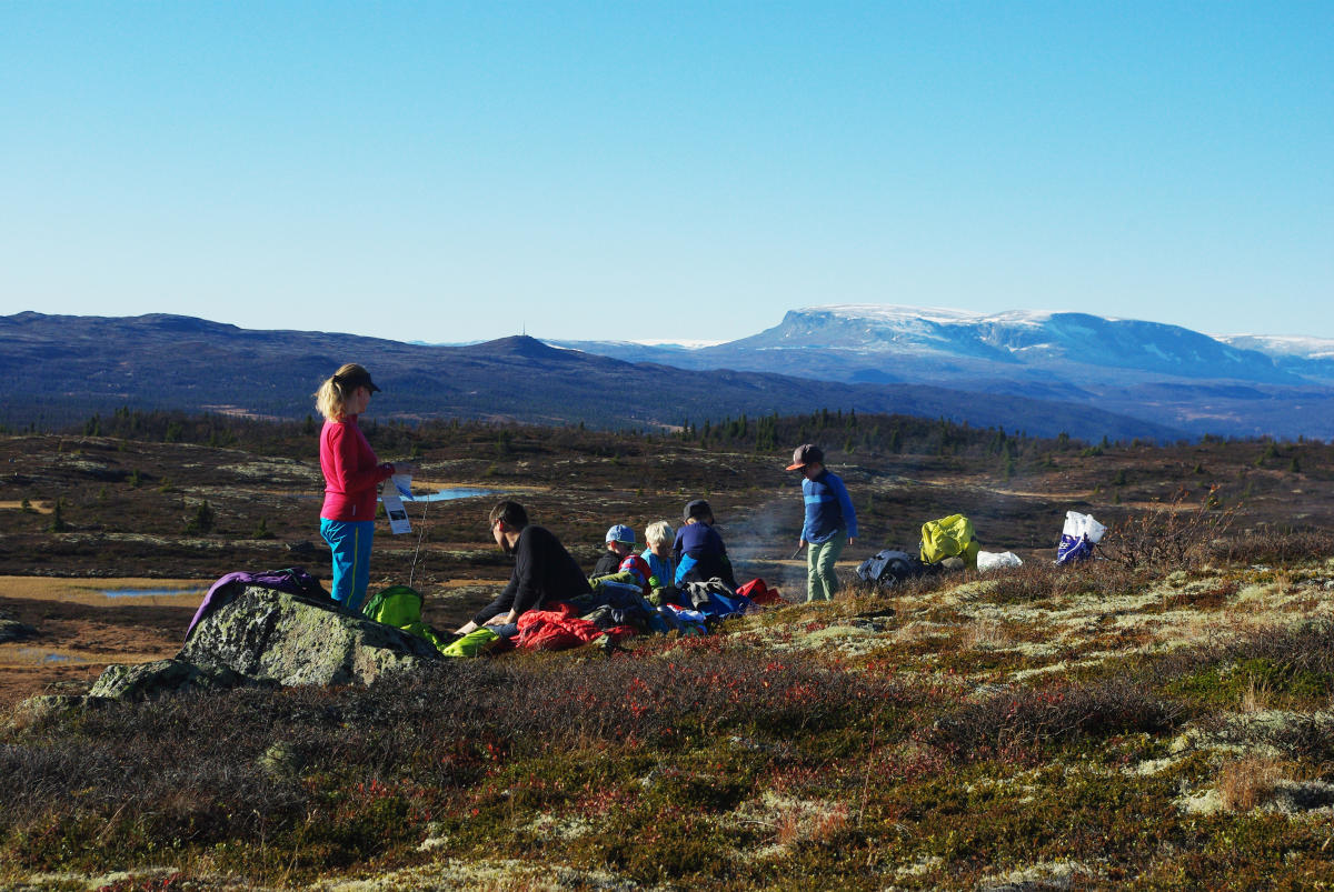 Rødungshovda Ål in Hallingdal | Hiking | Ål | Norway