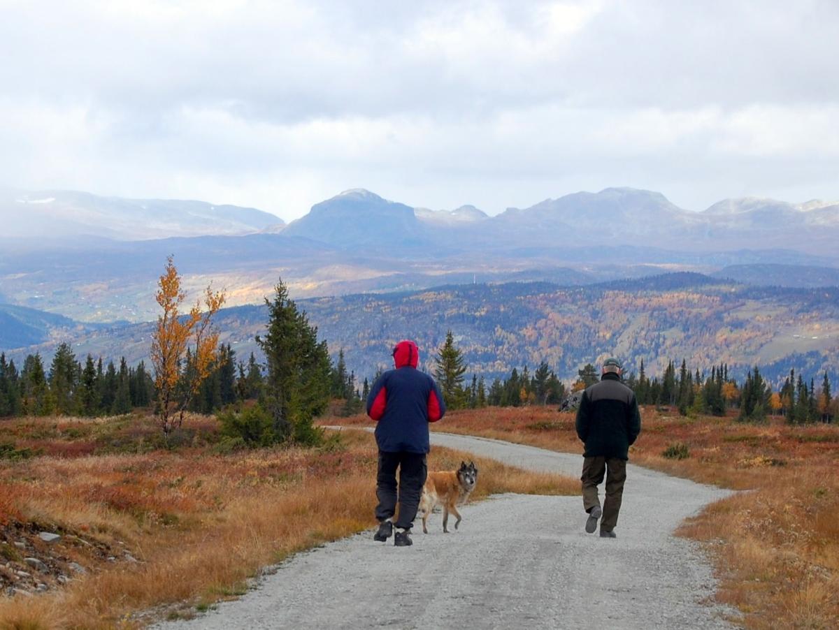 Bike trips Veståsen/Sangefjell Ål in Hallingdal | Biking | Ål | Norway