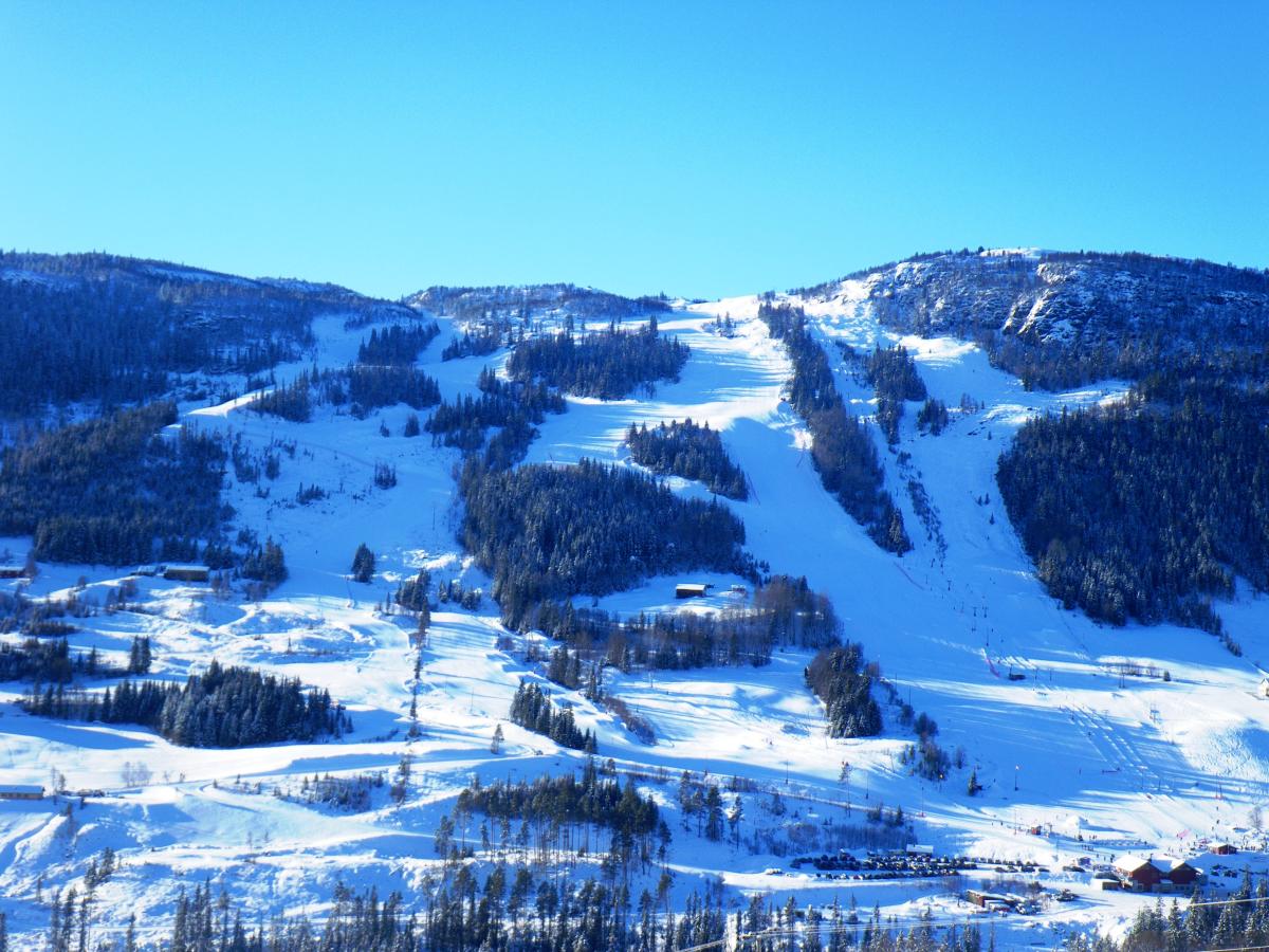 Ål Skisenter | Skiing | Ål | Norway