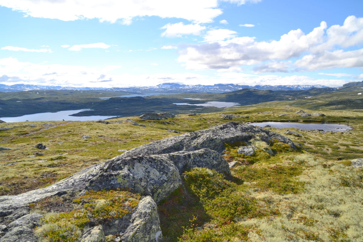Rødungsberget Ål i Hallingdal | Hiking | Ål | Norway