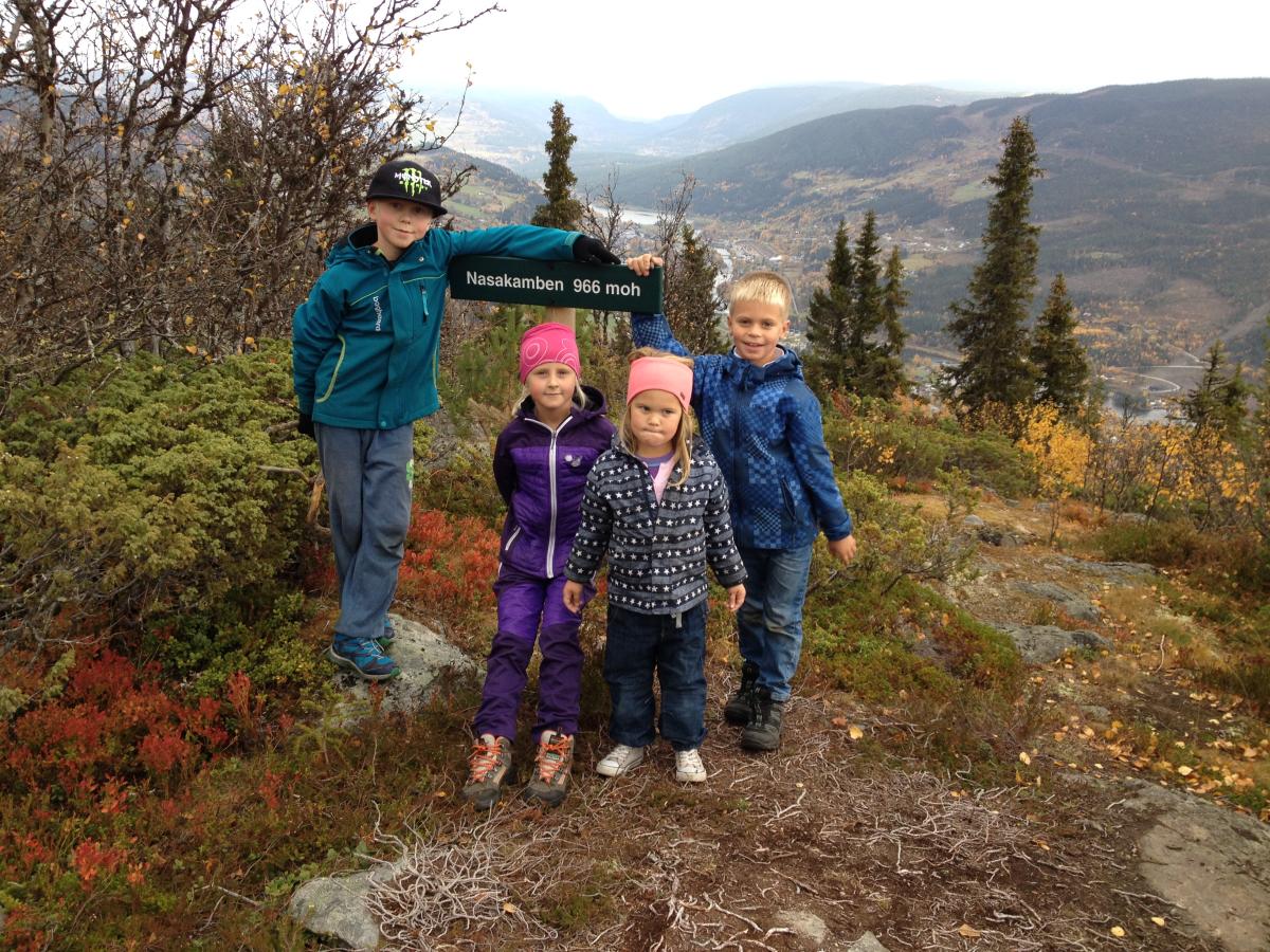 Nasakamben Ål in Hallingdal | Hiking | Ål | Norway