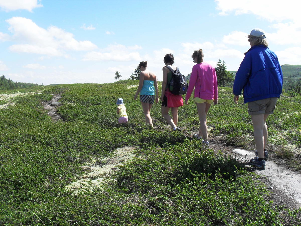 Dyna at Veståsen Ål in Hallingdal | Hiking | Ål | Norway