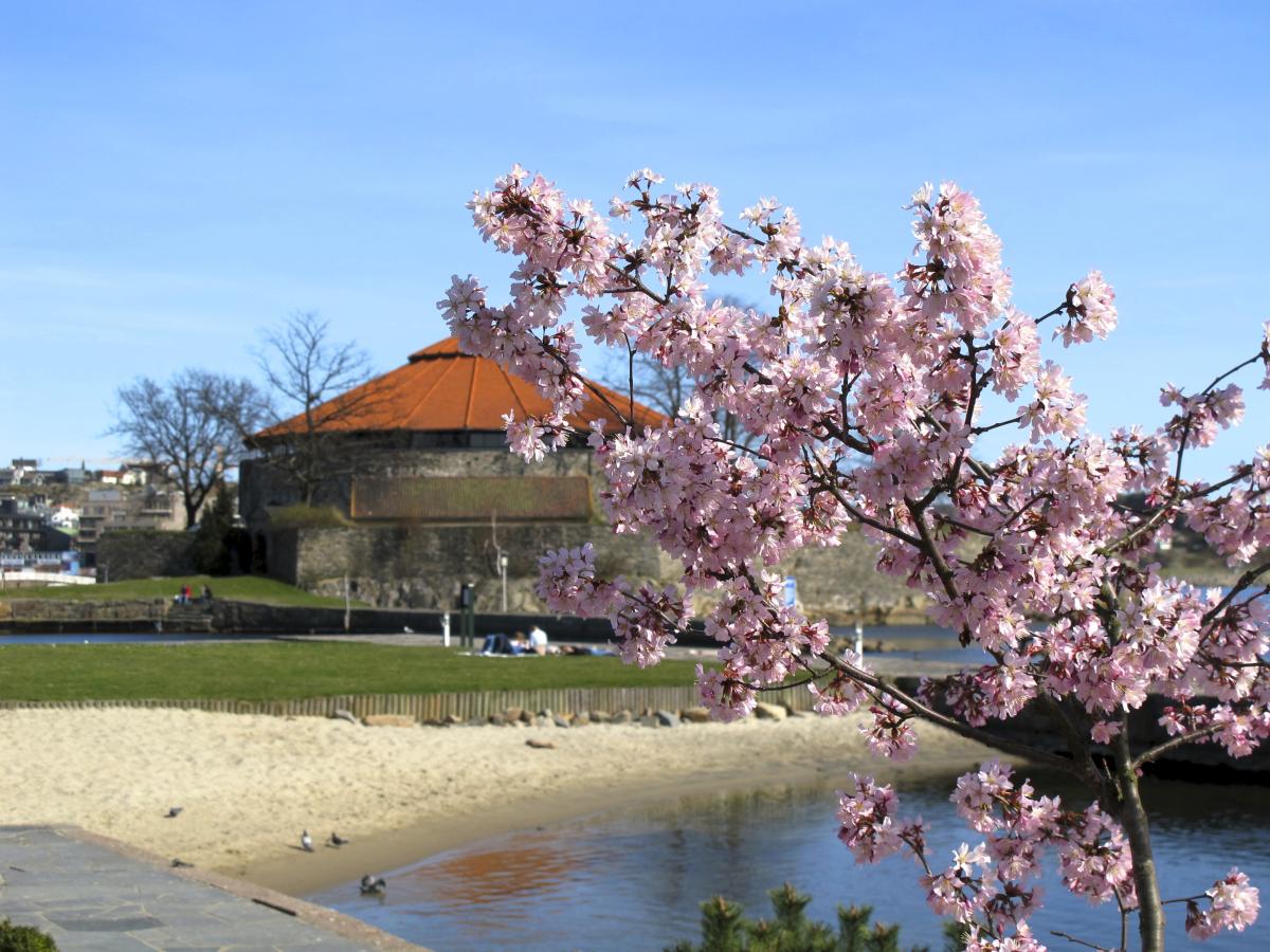 Byvandring i Kvadraturen og Posebyen | Tour Suggestions | Kristiansand ...