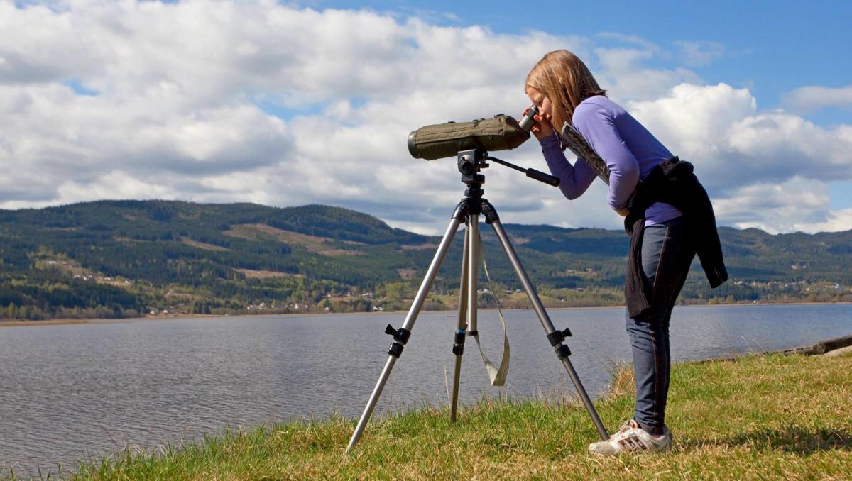 Dokka Delta National Wetlands Centre