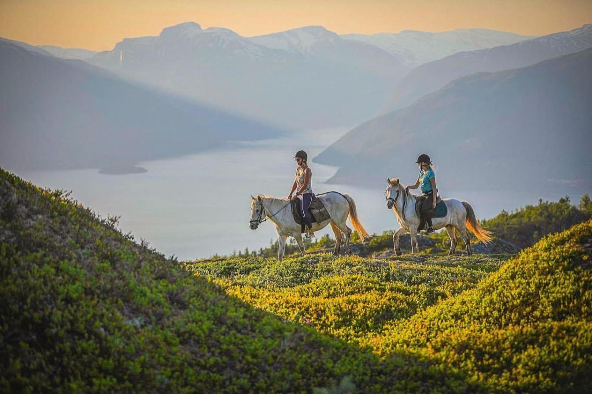 Horse riding Alm Gard Sognefjord | Riding & Sledging | Feios | Norway