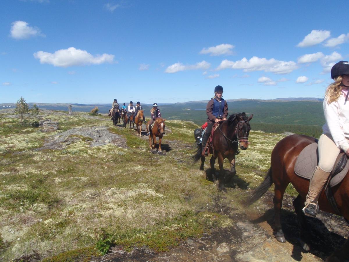 Riding - Savalen Hestesenter | Family Activities | Tynset | Norway