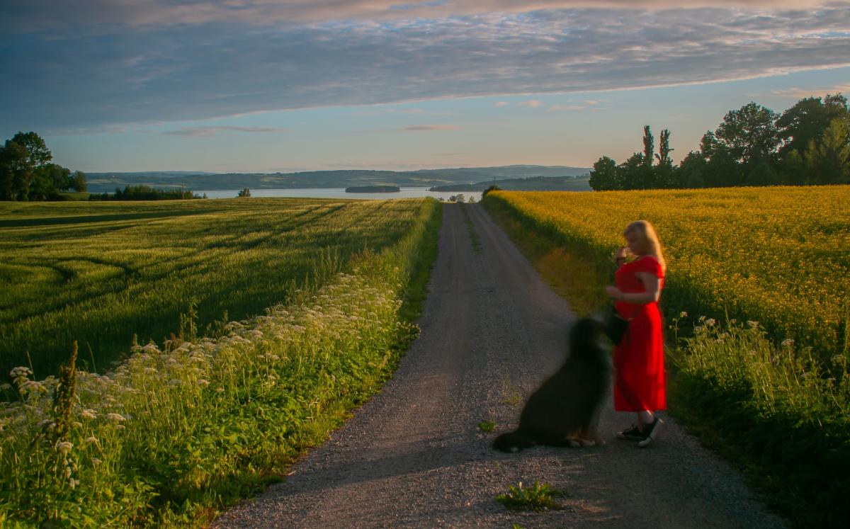 Stange Vestbygd | Nature Attractions | Ottestad | Norway