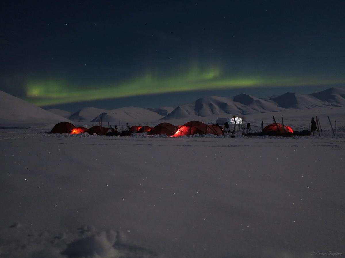 En natt i Arktis - Backyard Svalbard | Guided Tours | Longyearbyen | Norway