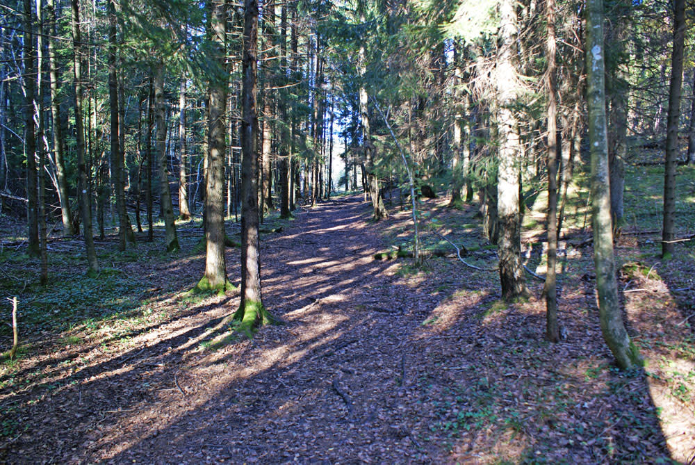 Tangvald naturreservat | Nature Attractions | Stathelle | Norway