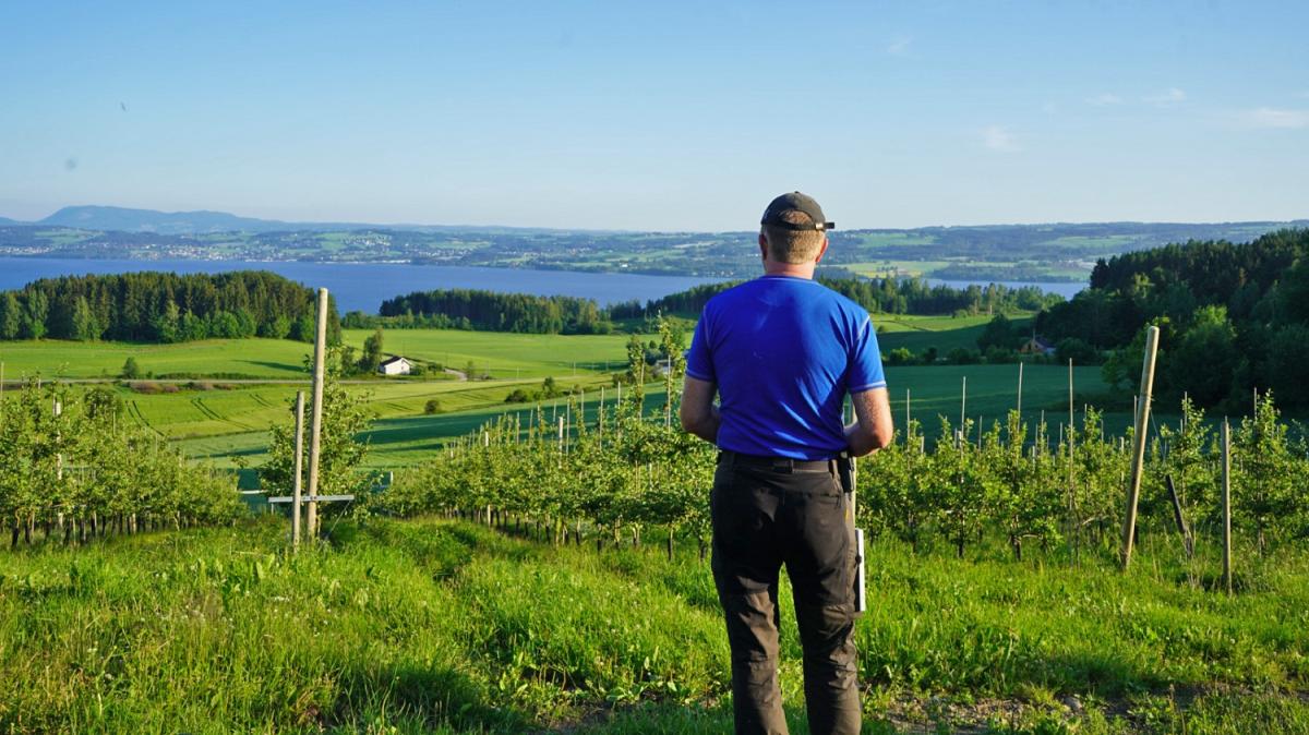 Braastad Epler - Gardsbesøk og foredrag for grupper | Buildings & Monuments | Stavsjø | Norway